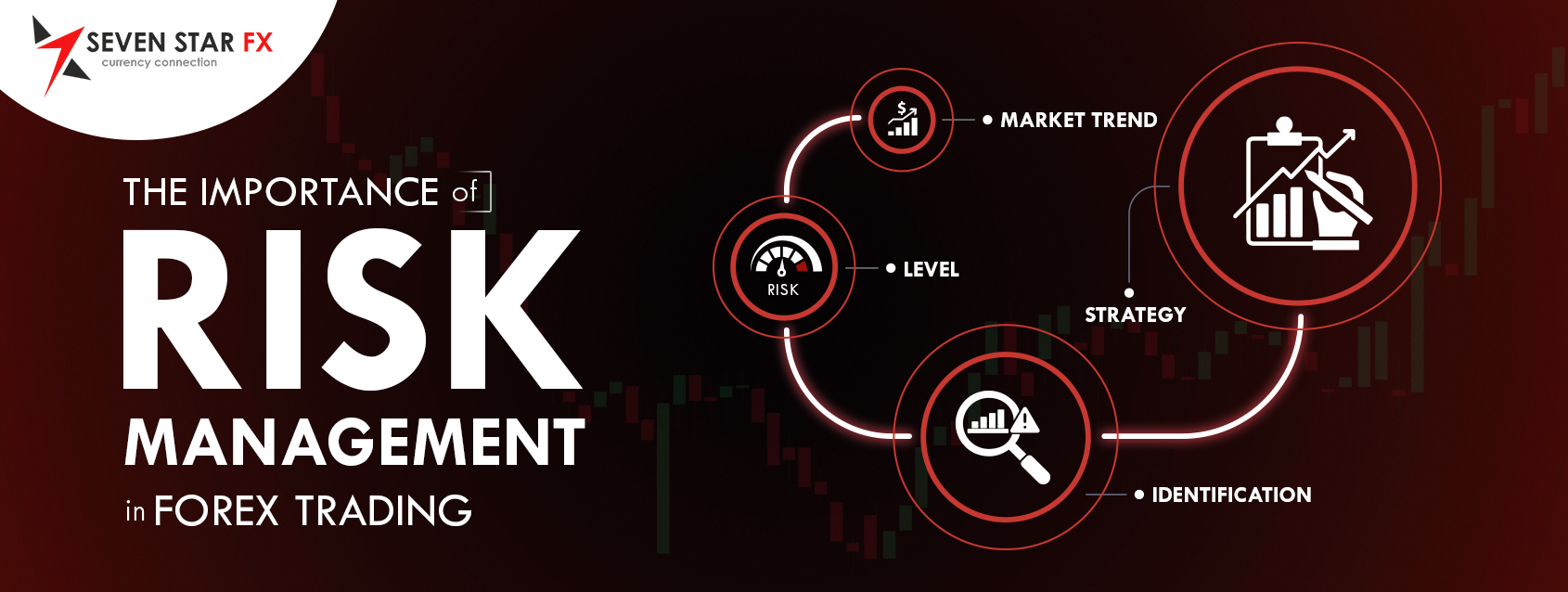 The Importance of Risk Management in Forex Trading